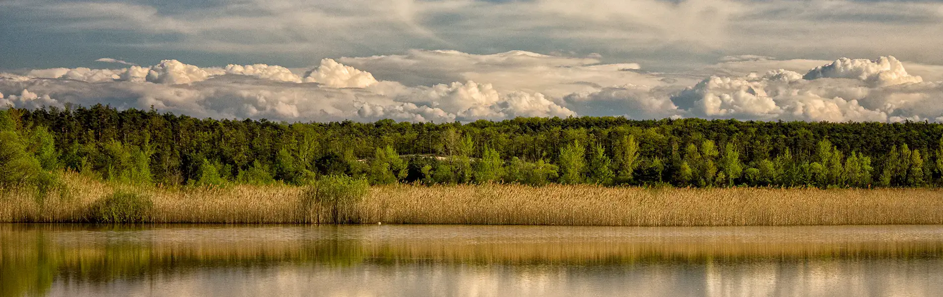 Hobby fotograf - Erik Summer